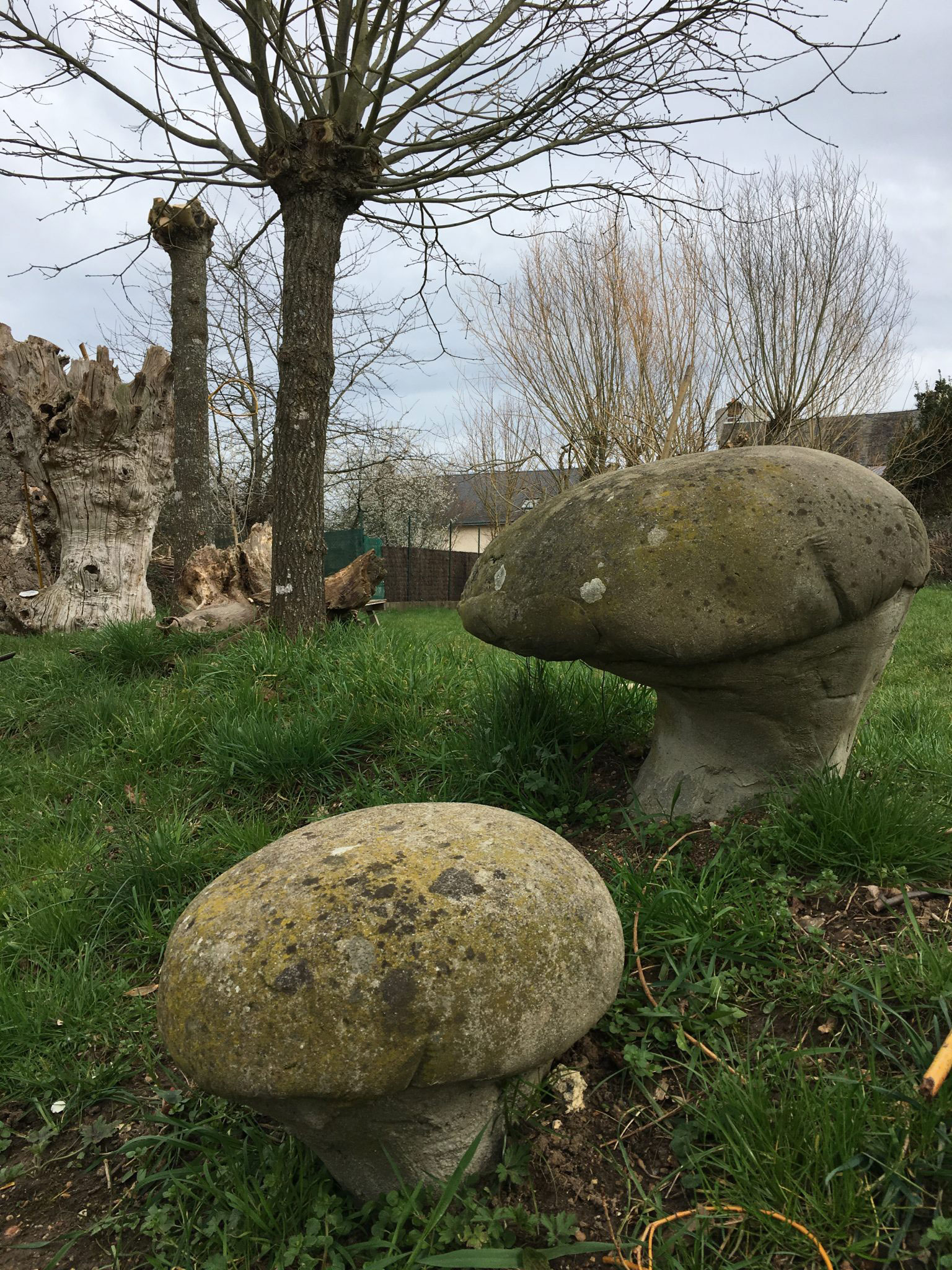« Les Végétales » d’Elsa Genèse sur le Chemin Botanique de Boursay - La ...