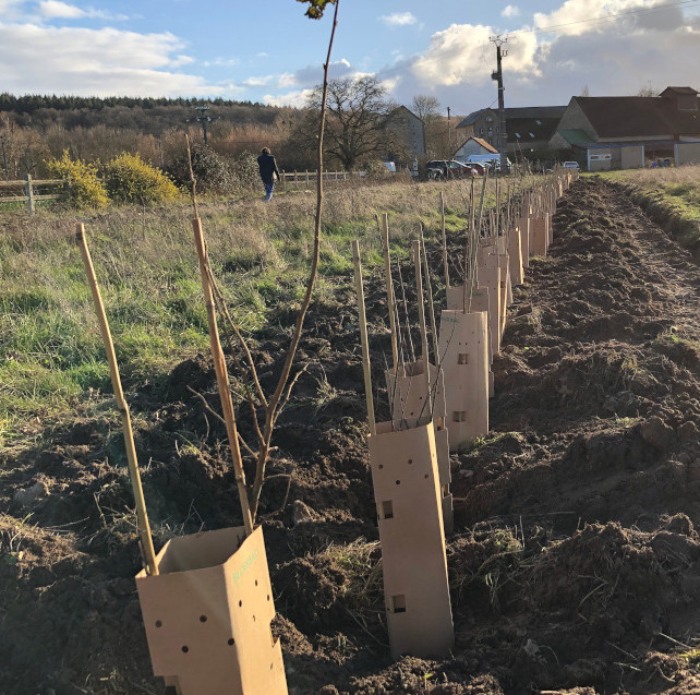 La saison de plantation va bientôt commencer ! - La Maison Botanique ...