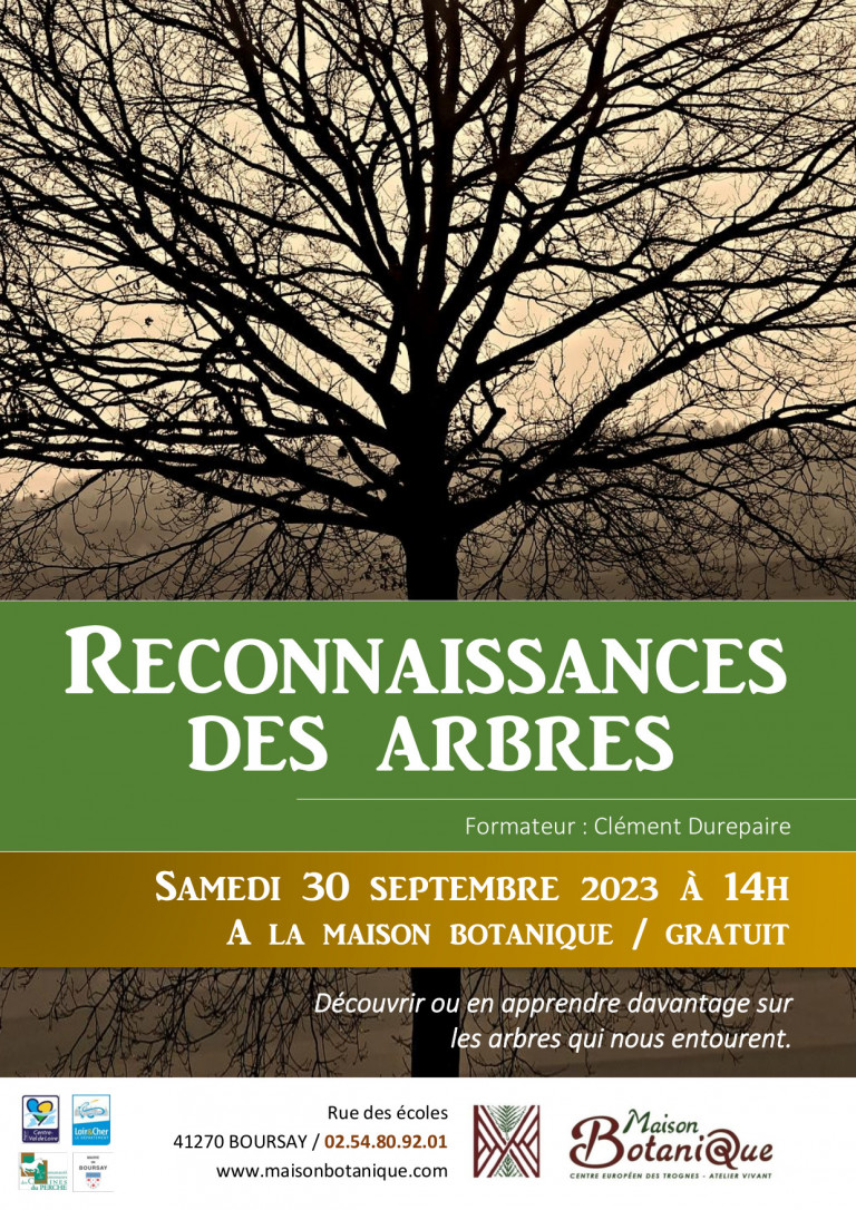 Reconnaissance des arbres - La Maison Botanique - Atelier Vivant
